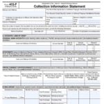 Guide to IRS Form 433-F, Collection Information Statement